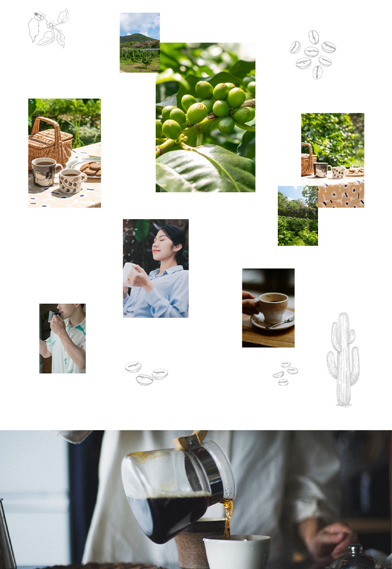 STORY(制作事例) - cactus coffee farm & lab | アライバルクオリティー